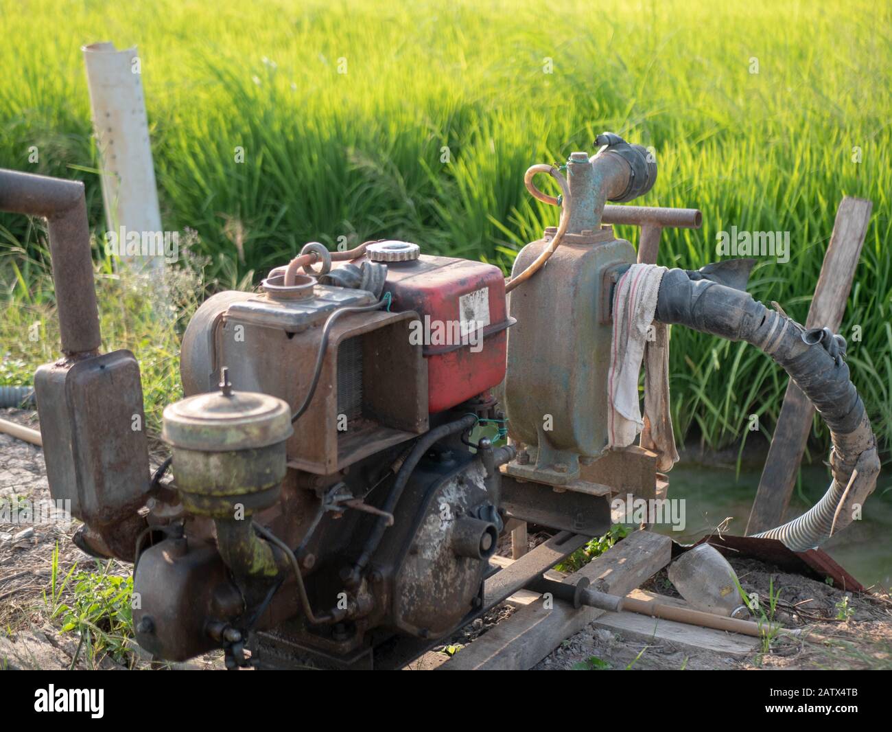 Water pump by the paddy field Stock Photo - Alamy