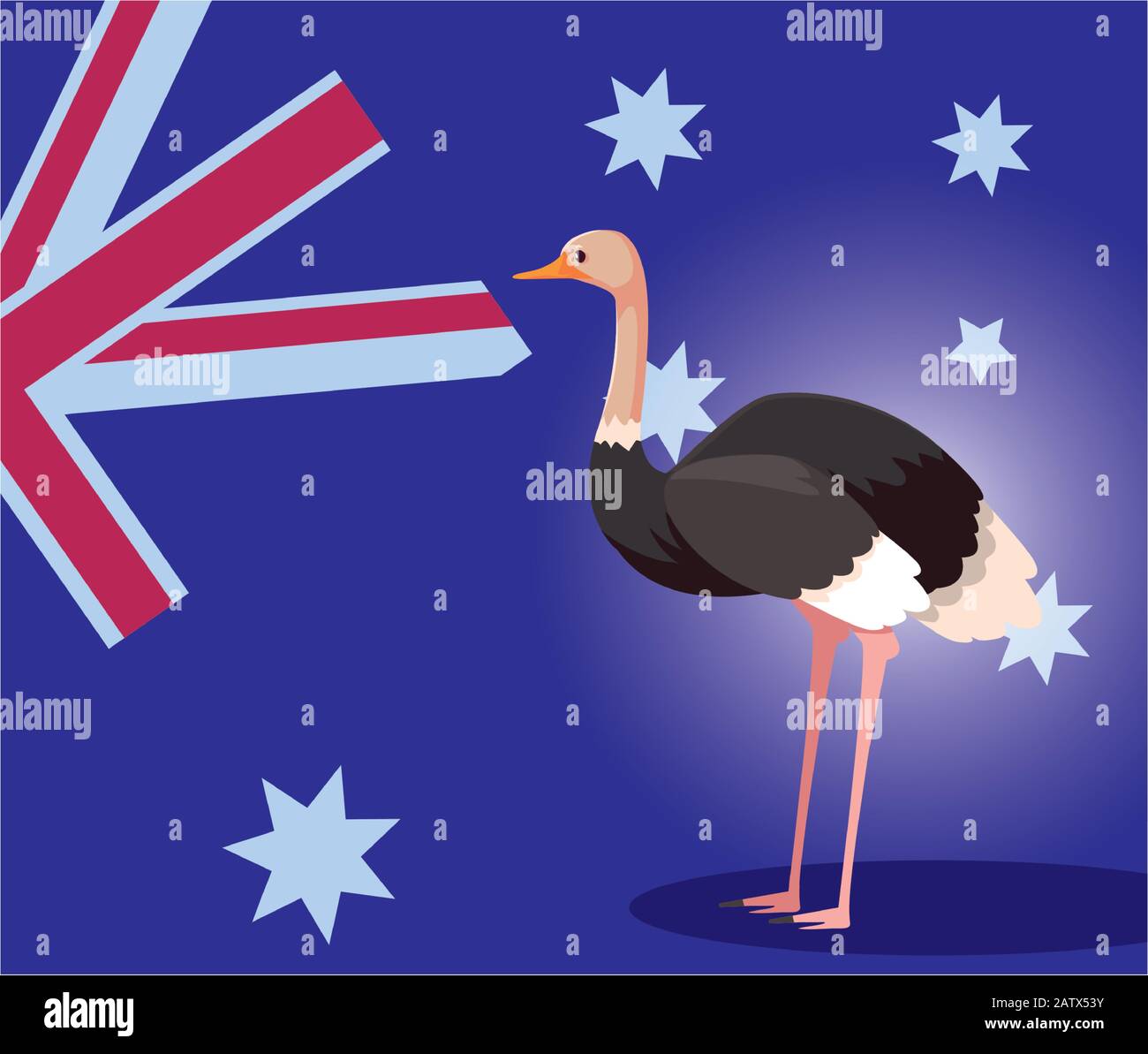 ostrich with australia flag in the background vector illustration ...