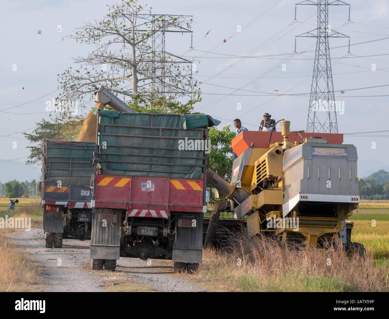 Indian combine harvester hi-res stock photography and images - Alamy