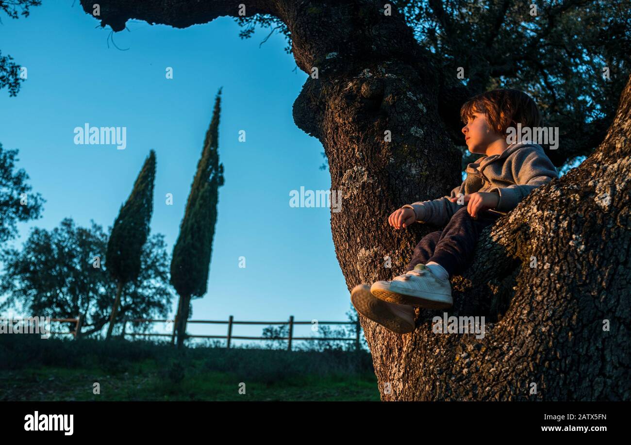 Tree children oak hi-res stock photography and images - Alamy
