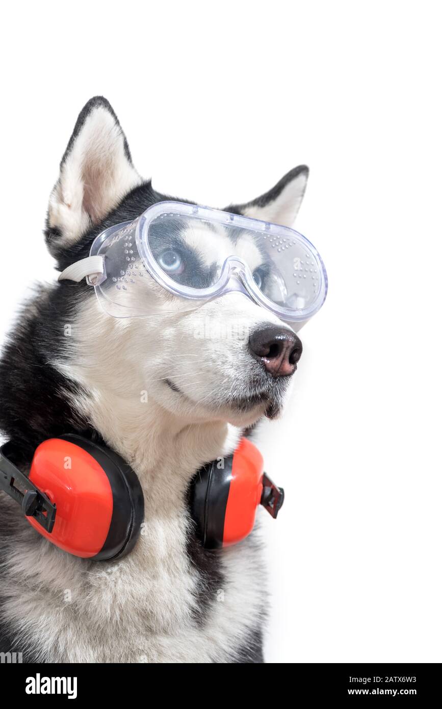 Ear protection hi-res stock photography and images - Alamy