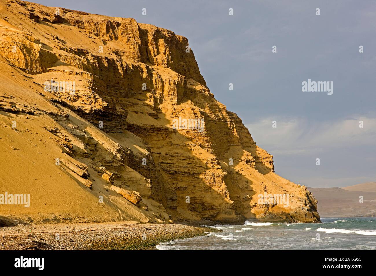 Paracas national park hi-res stock photography and images - Alamy