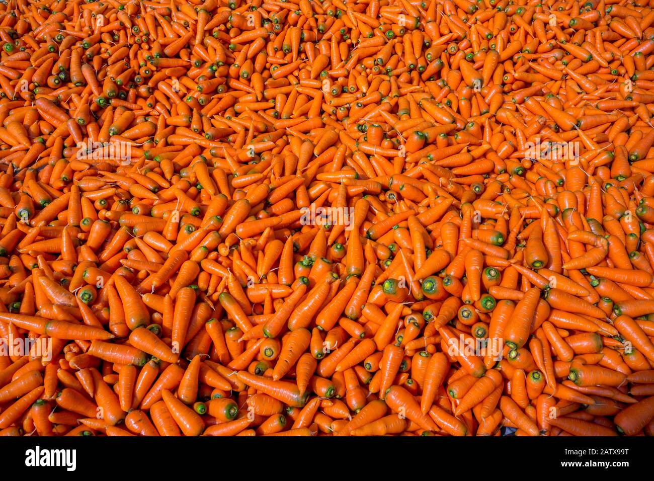 Washed unwashed up hi-res stock photography and images - Alamy