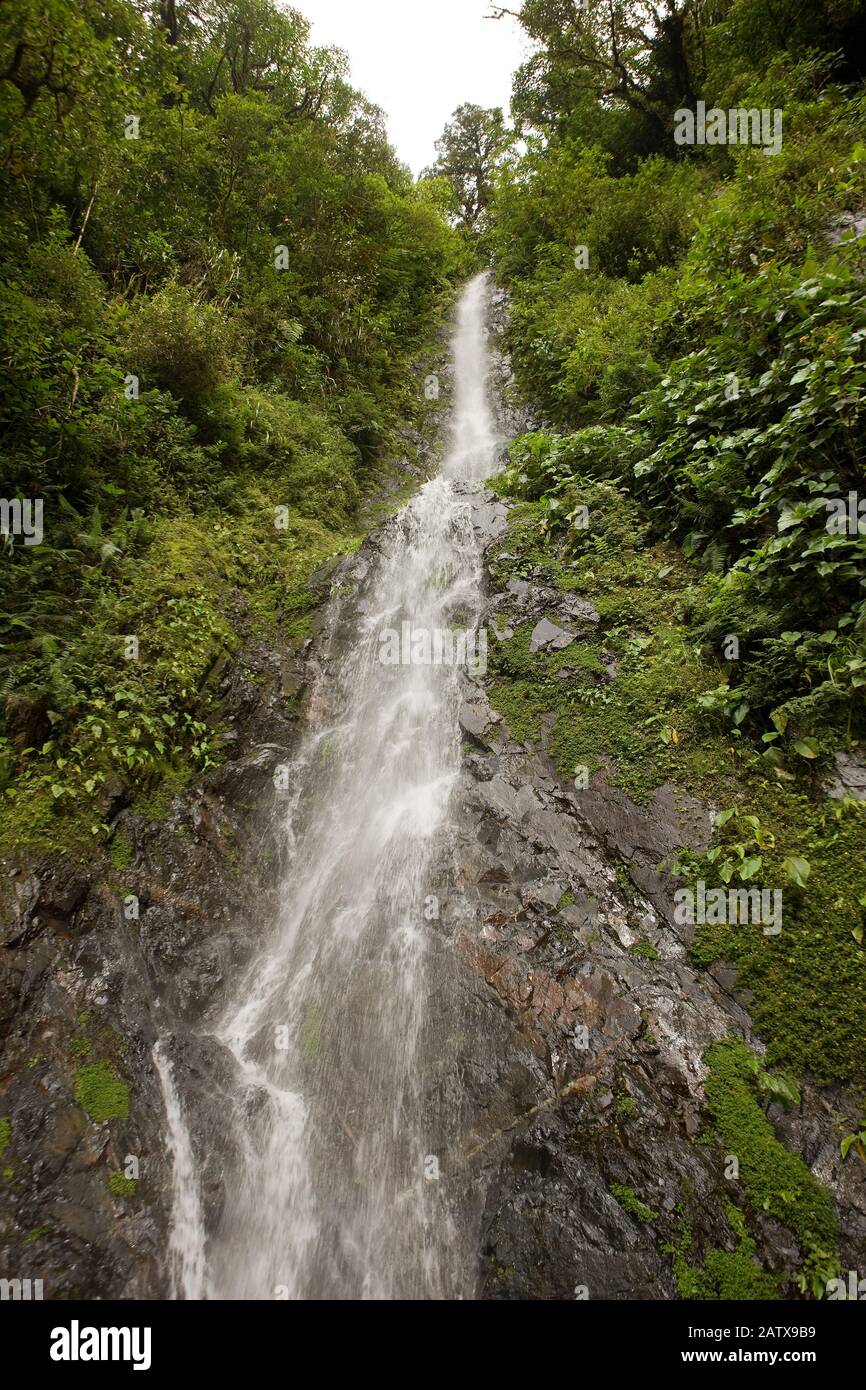 Waterfalls in Manu National Park in Peru Stock Photo - Alamy