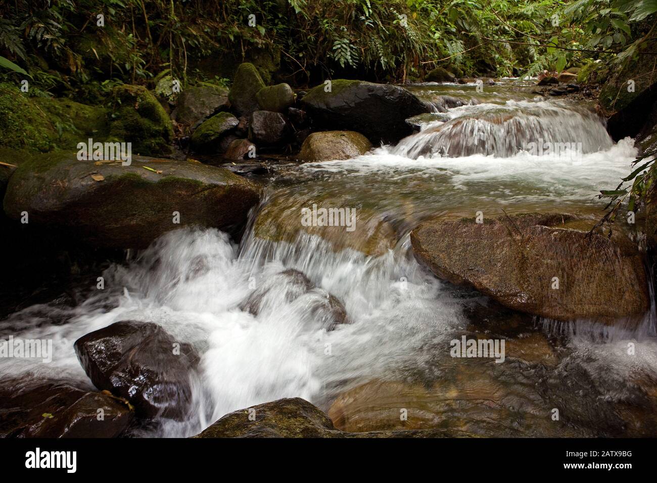 Waterfalls in Manu National Park in Peru Stock Photo - Alamy