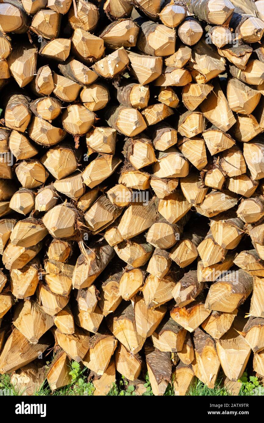 Front view of manually chopped wood into tree stakes with a sharpened ...