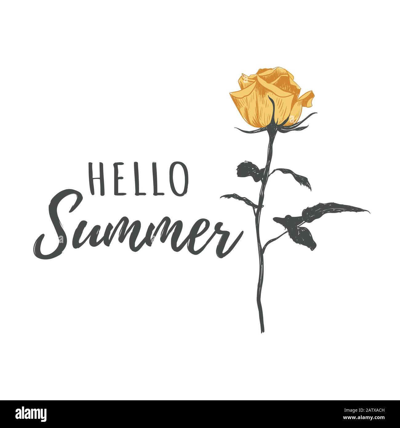 Hello summer calligraphy text vector illustration Stock Vector Image ...