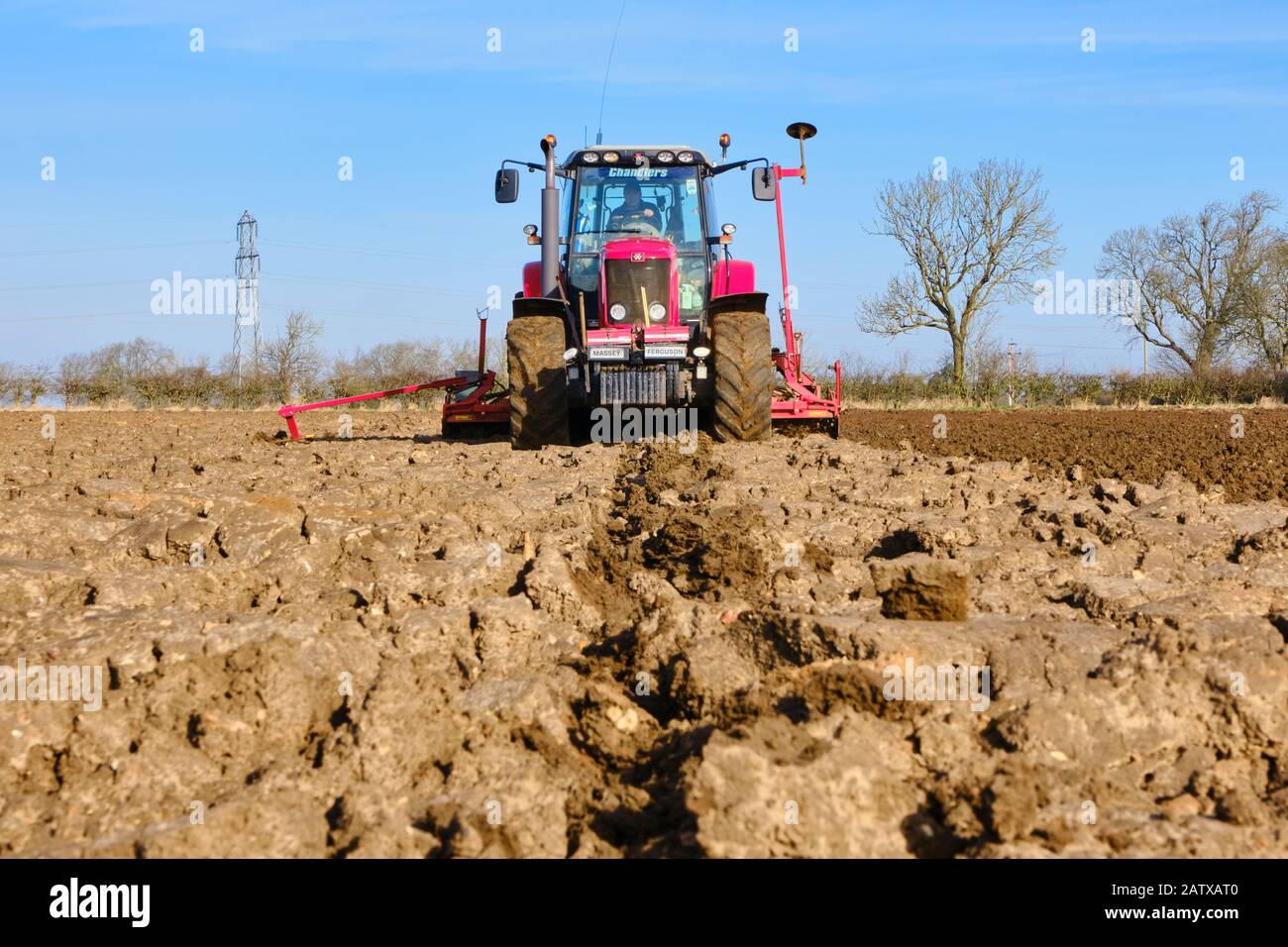 Massey Ferguson 6490 tractor drilling winter wheat with a power harrow ...