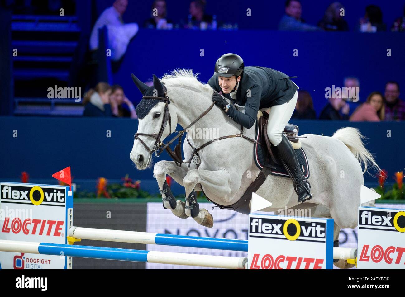 Michael duffy horse hi-res stock photography and images - Alamy