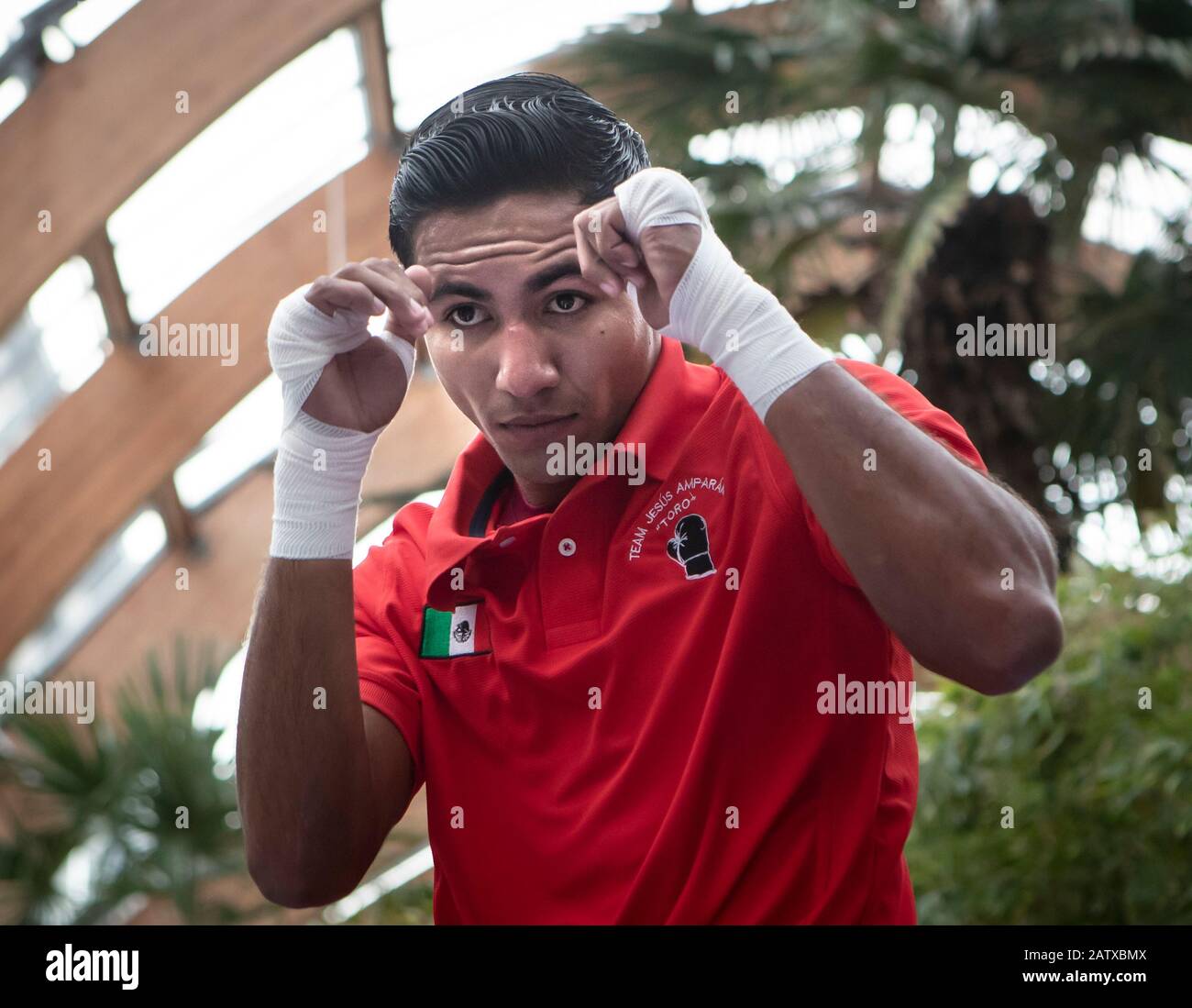 Public workout sheffield winter garden hi-res stock photography and ...