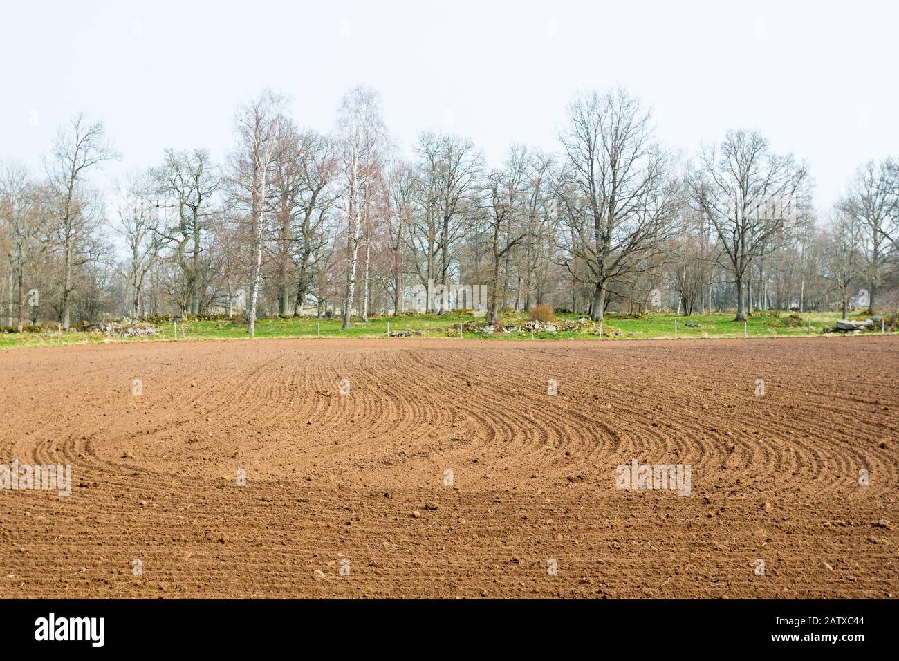 Sowing field in spring landscapes Stock Photo - Alamy
