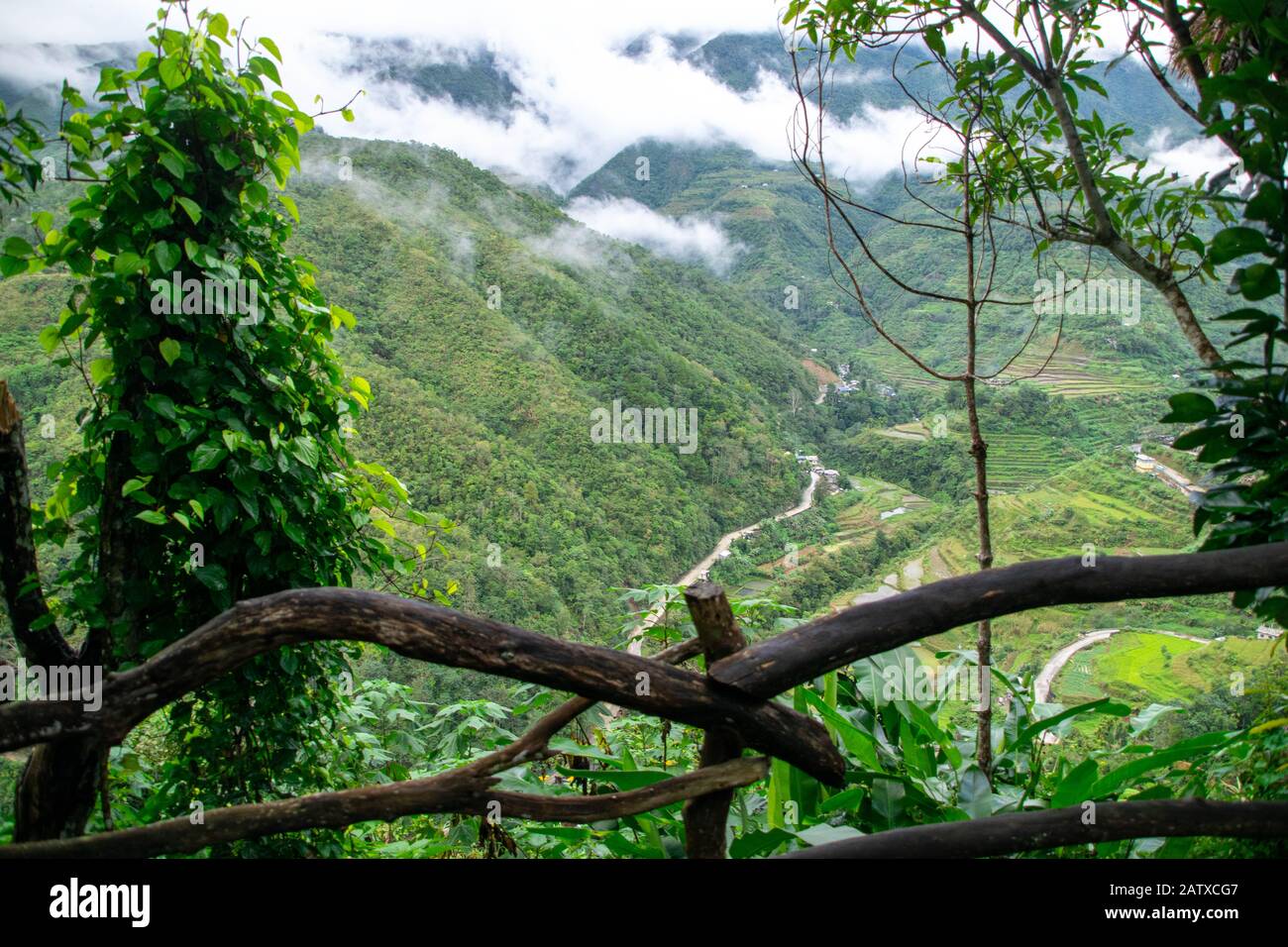 South east asia rice terrace hi-res stock photography and images - Alamy