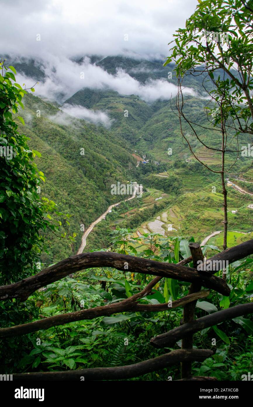 View of valley and rice fields in the Philippines Stock Photo - Alamy