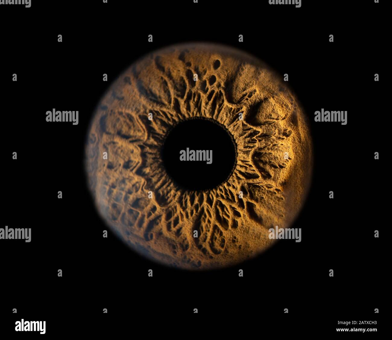 human eye iris dentity Stock Photo - Alamy