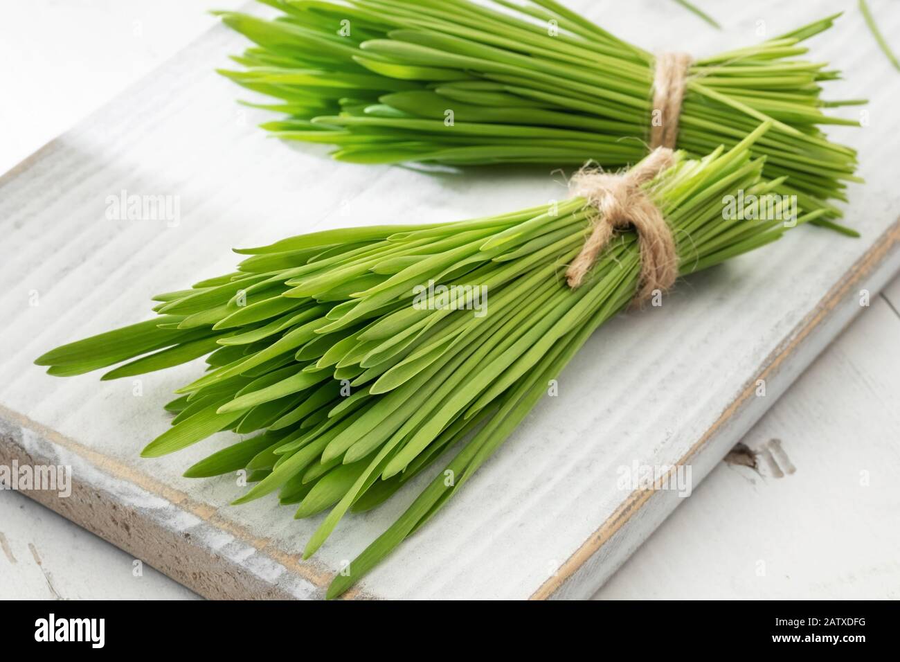 Fresh young barley grass on a white background Stock Photo - Alamy