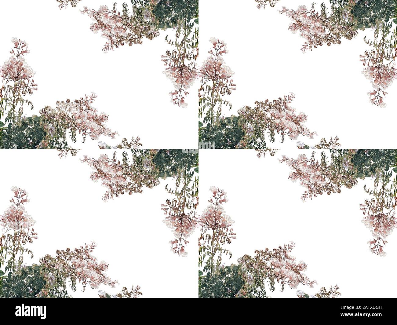 Digital photo collage and manipulation technique nature floral collage ...