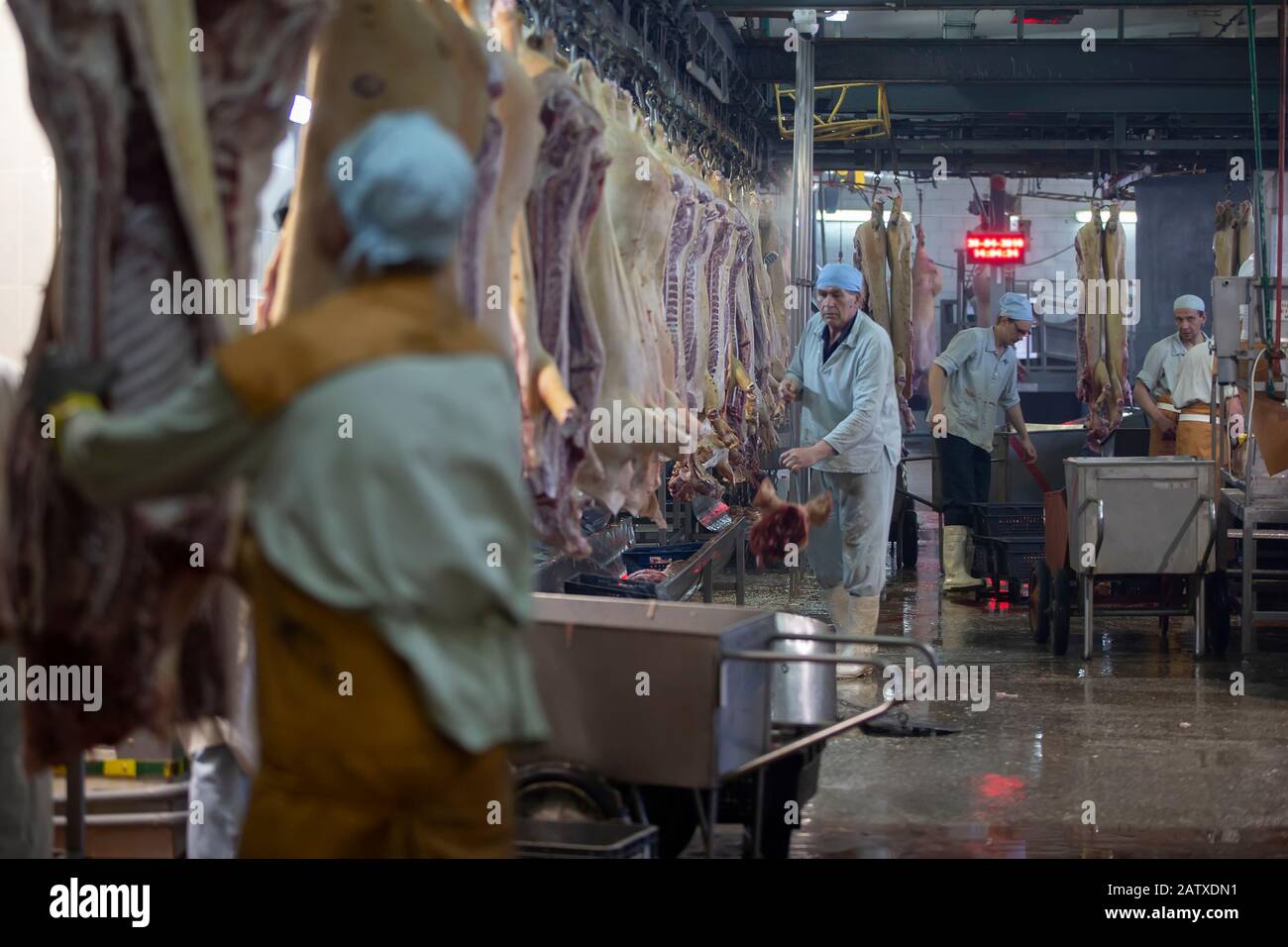 Belarus, the city of Gomel, April 26, 2019. The meat factory ...