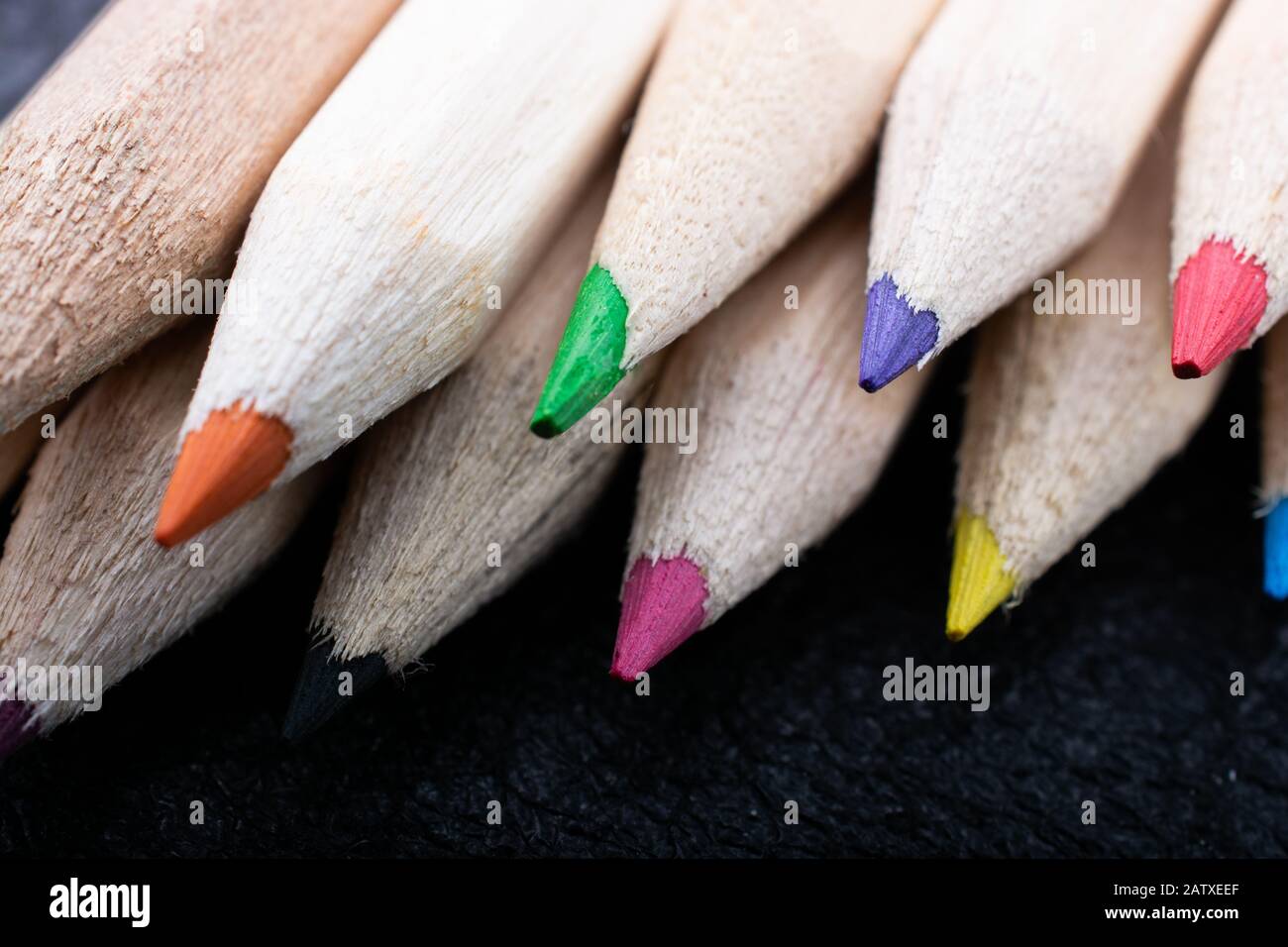 Draw coloring vector hi-res stock photography and images - Alamy