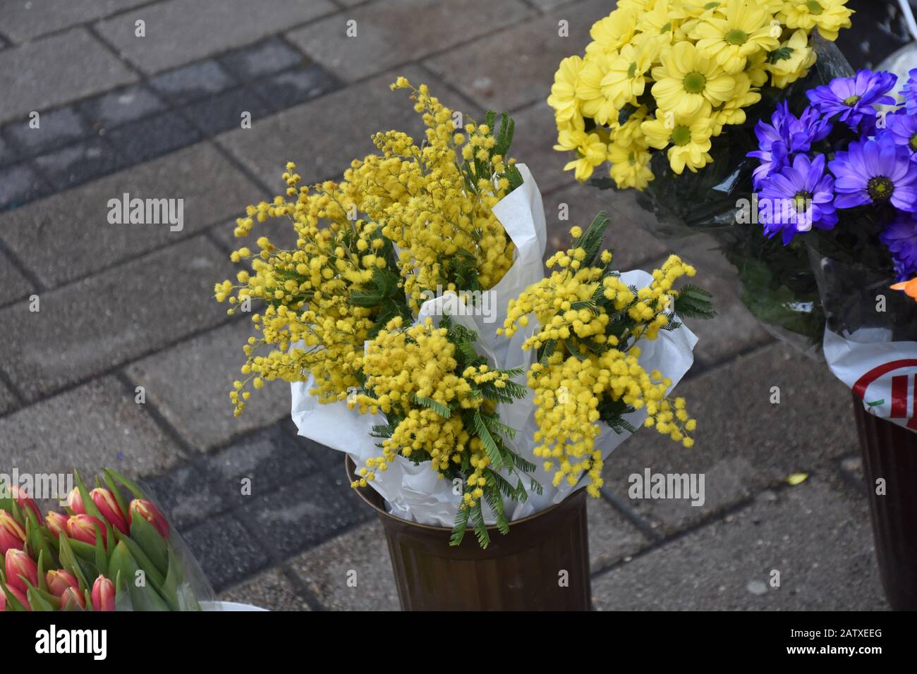 Mimosas Bouquet High Resolution Stock Photography and Images - Alamy