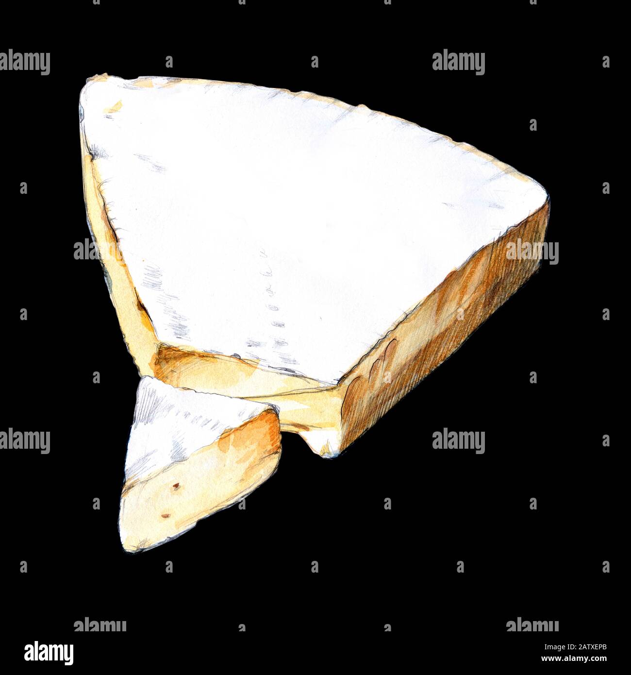 Brie watercolor illustration on black background Stock Photo - Alamy