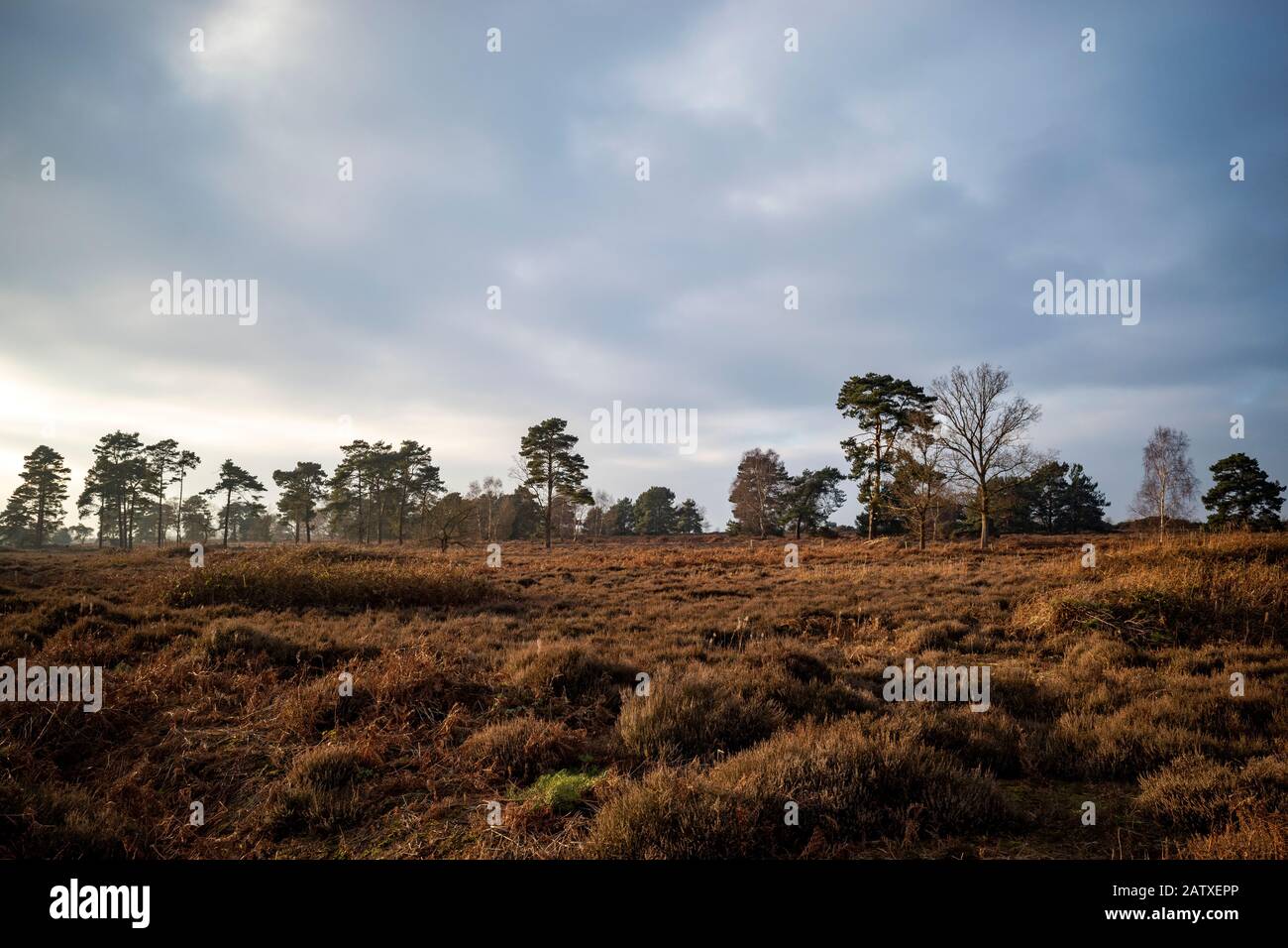 Lowlands britain hi-res stock photography and images - Alamy
