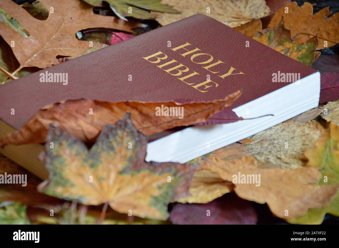 Closed bible hi-res stock photography and images - Alamy