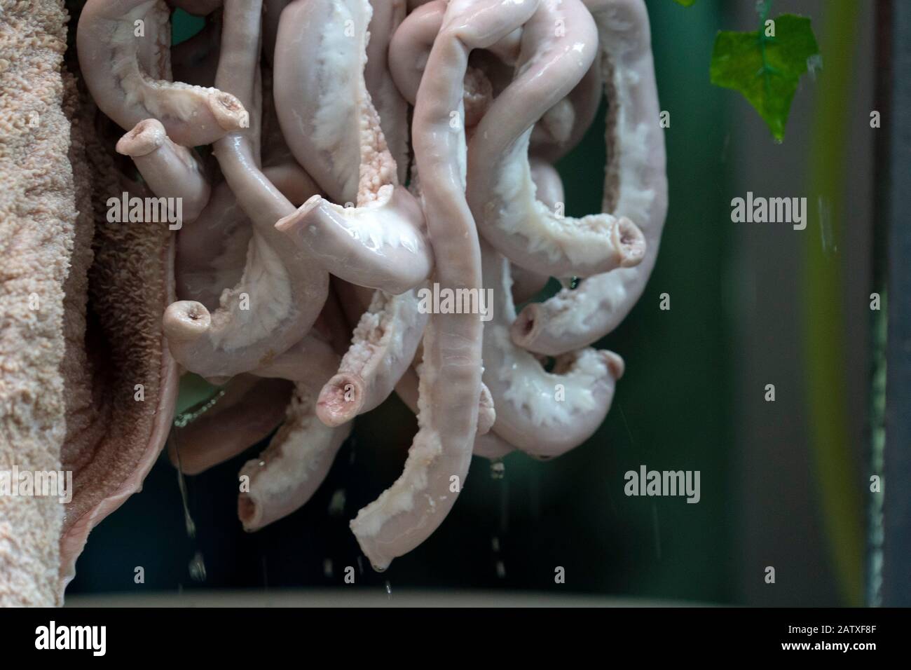 Meat shop in naples italy hi-res stock photography and images - Alamy