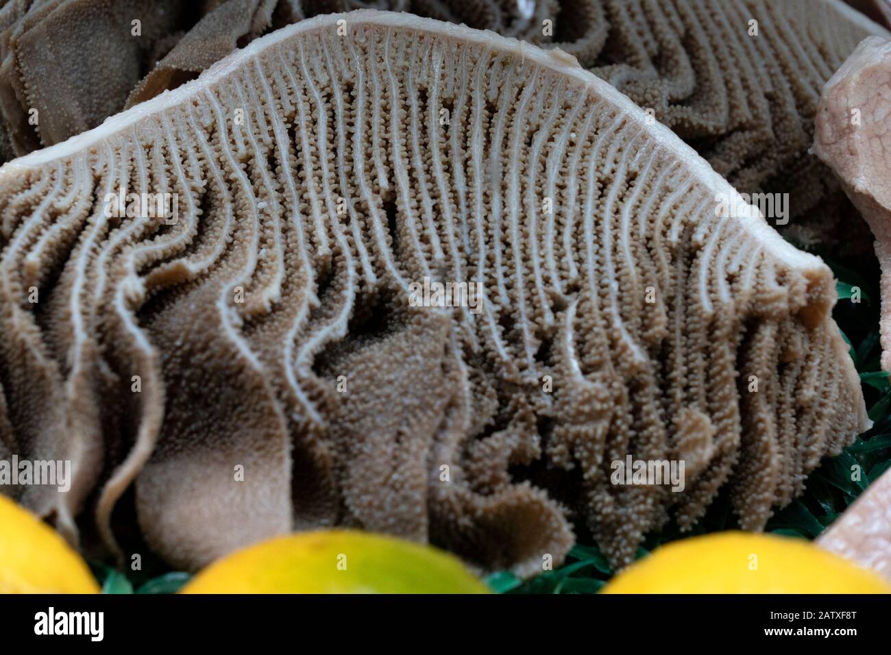 Tripe shop hi-res stock photography and images - Alamy