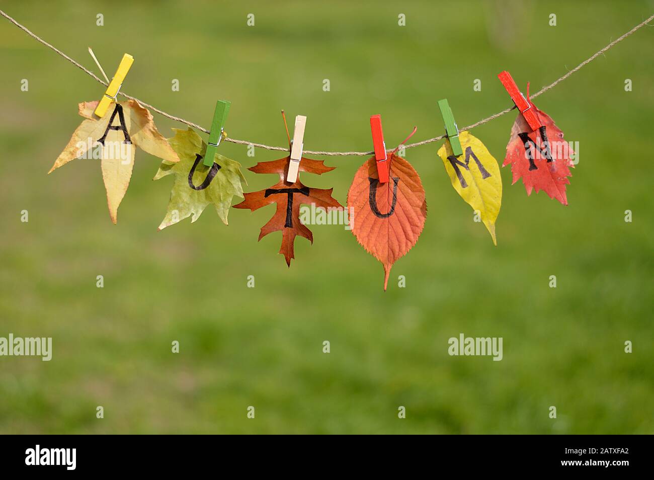 Letters spelling the word grass hi-res stock photography and images - Alamy