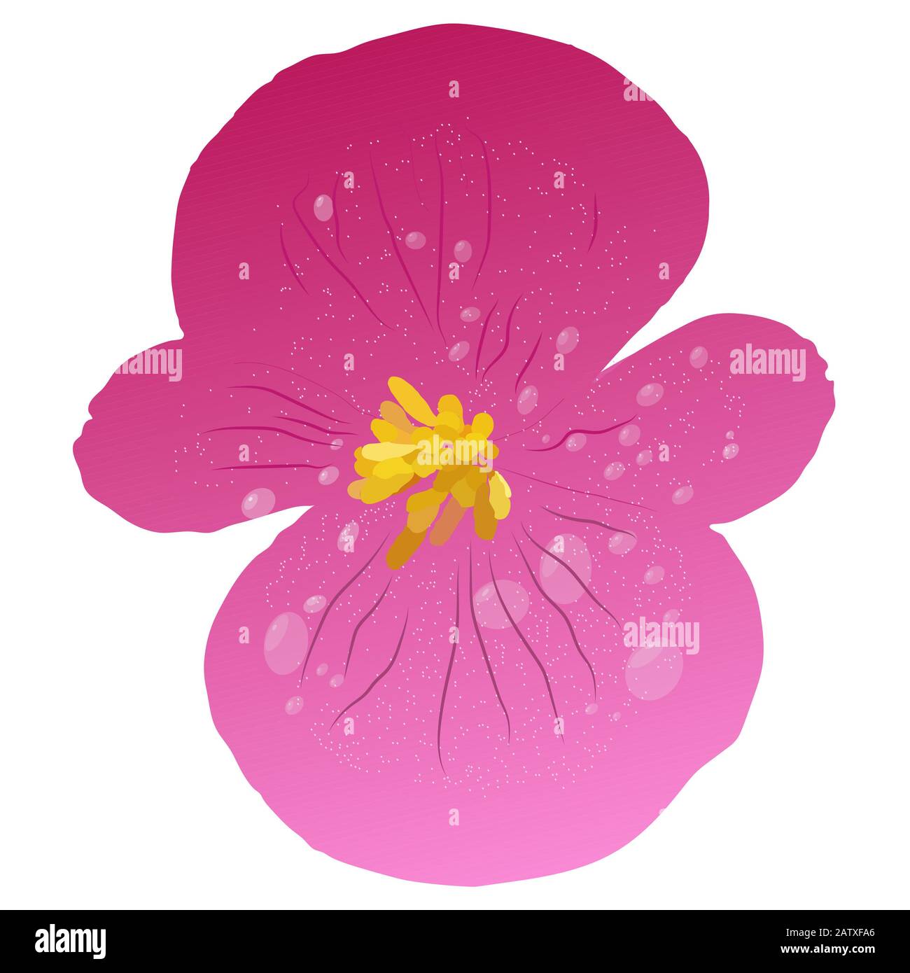 Pink flower four petals closeup hi-res stock photography and images - Alamy