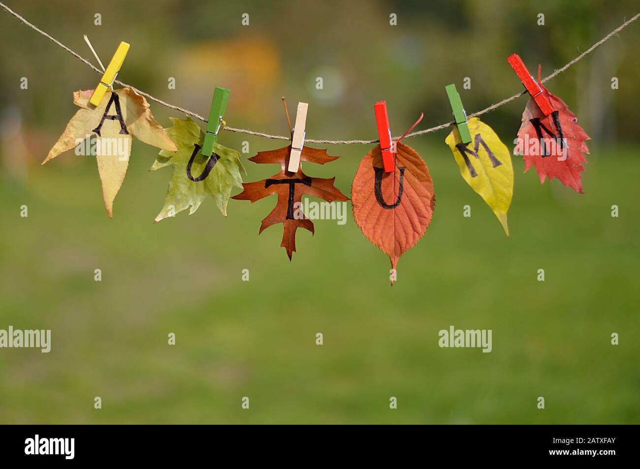 Letters spelling the word grass hi-res stock photography and images - Alamy