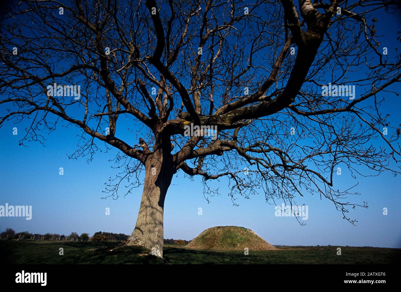 Sutton Hoo Anglo Saxon Burial Site near Woodbridge Suffolk England ...