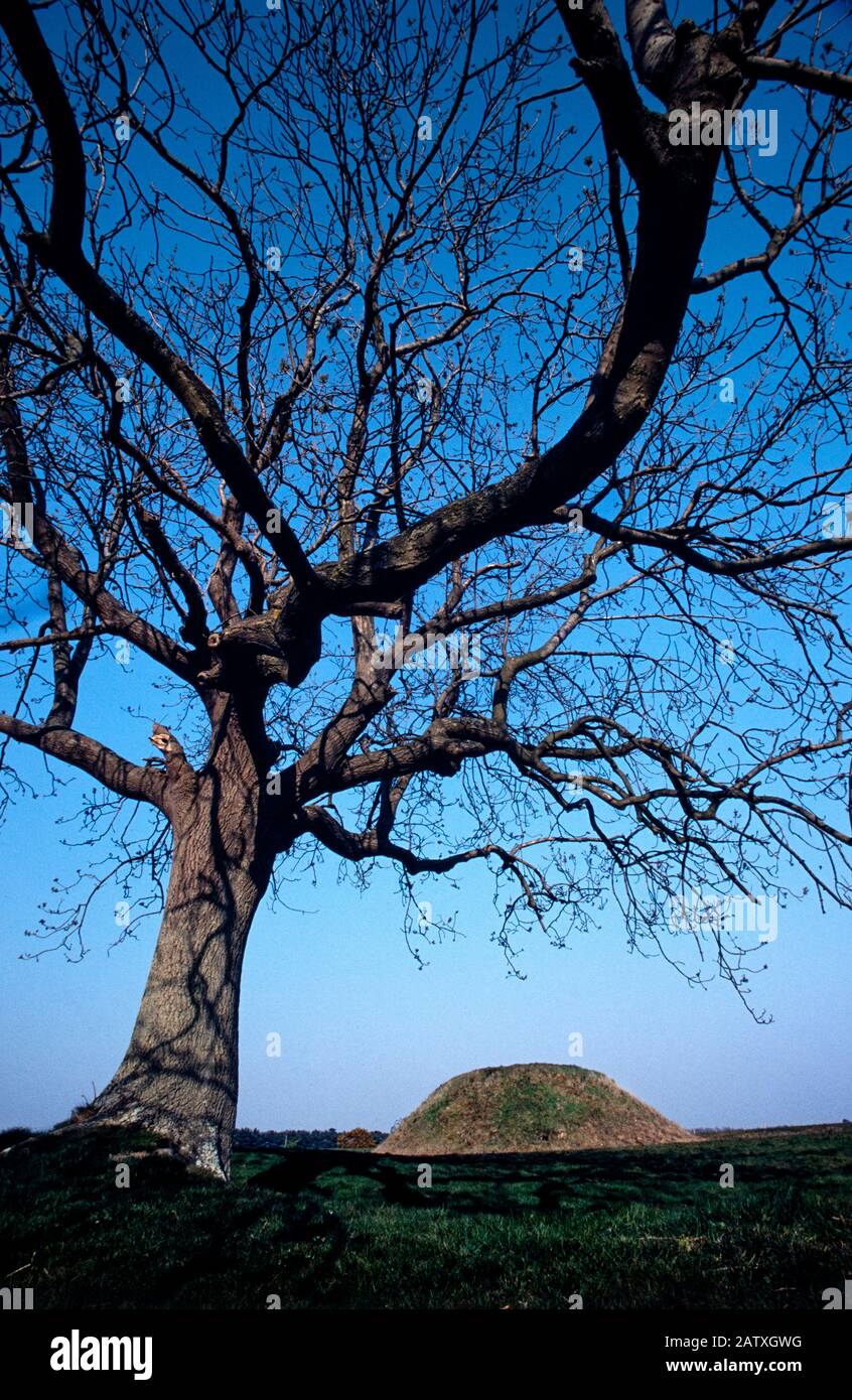 Sutton Hoo Anglo Saxon Burial Site near Woodbridge Suffolk England ...