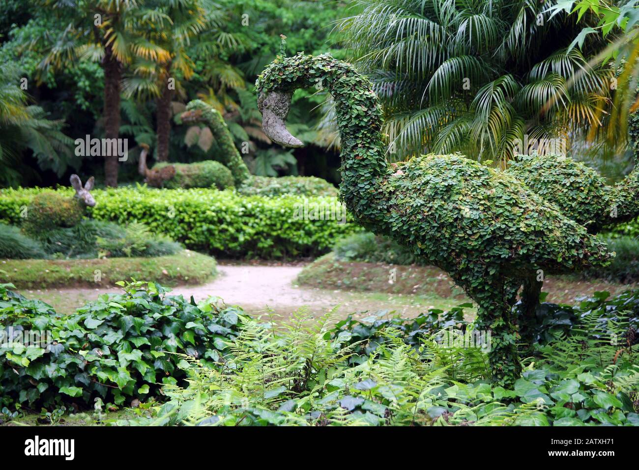 Ivy dinosaurs in Parque Terra Nostra in Azores Stock Photo - Alamy