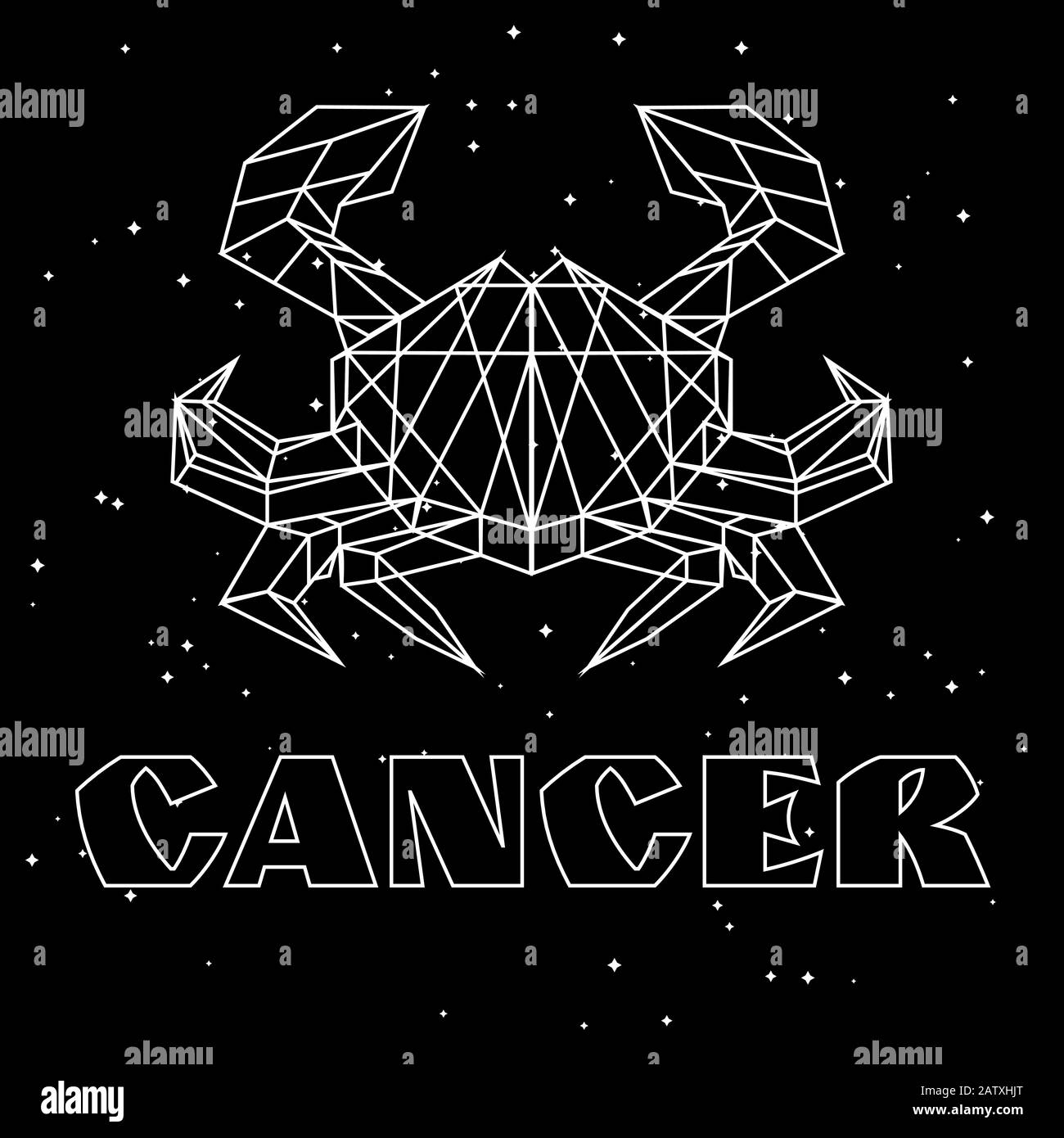 Minimal white geometric crayfish, zodiac sign cancer, on starry sky ...
