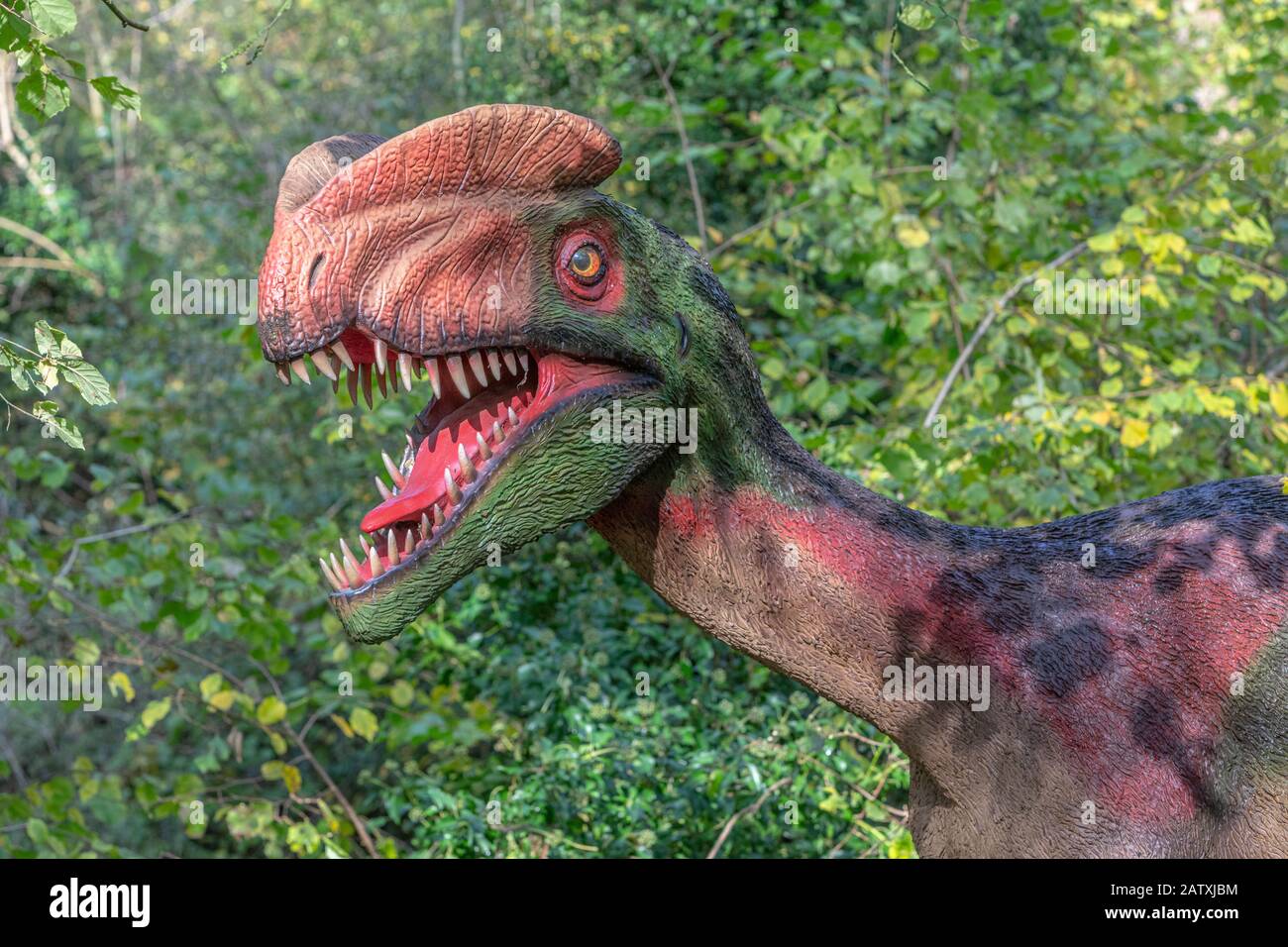 Triassic period dinosaur hi-res stock photography and images - Alamy