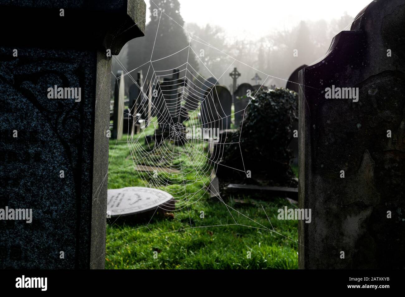 Putney Vale Cemetery Stock Photo - Alamy