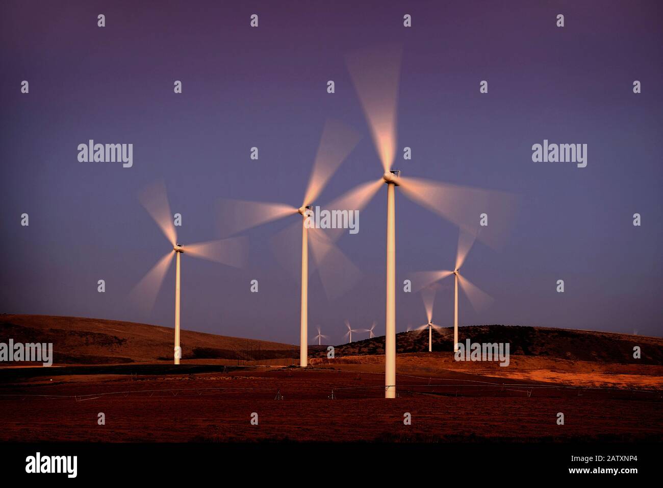 Windmill wind turbines spinning fast in wind at sunset or sunrise Stock ...
