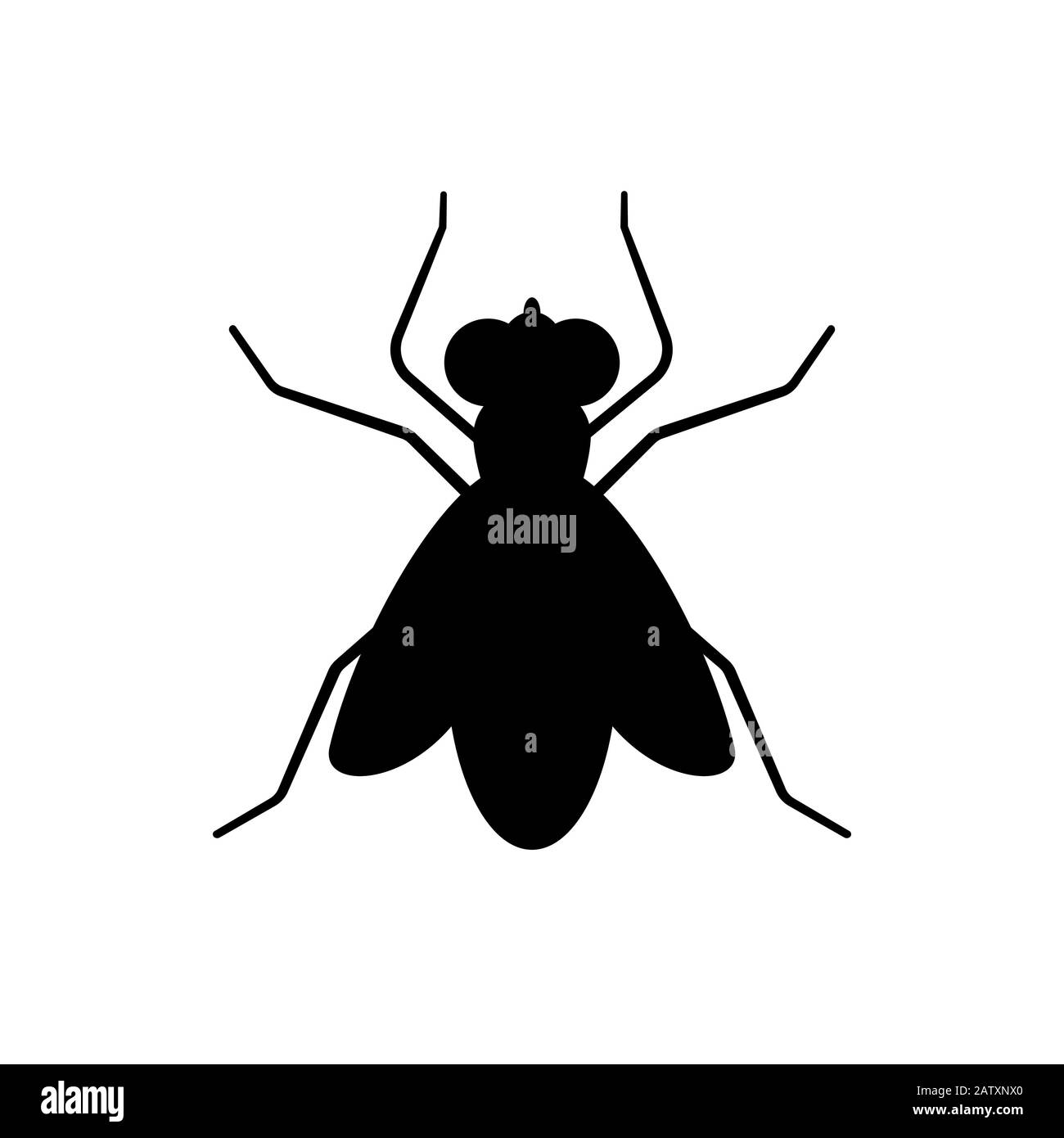fly sign icon isolated vector illustration Stock Vector Image & Art - Alamy