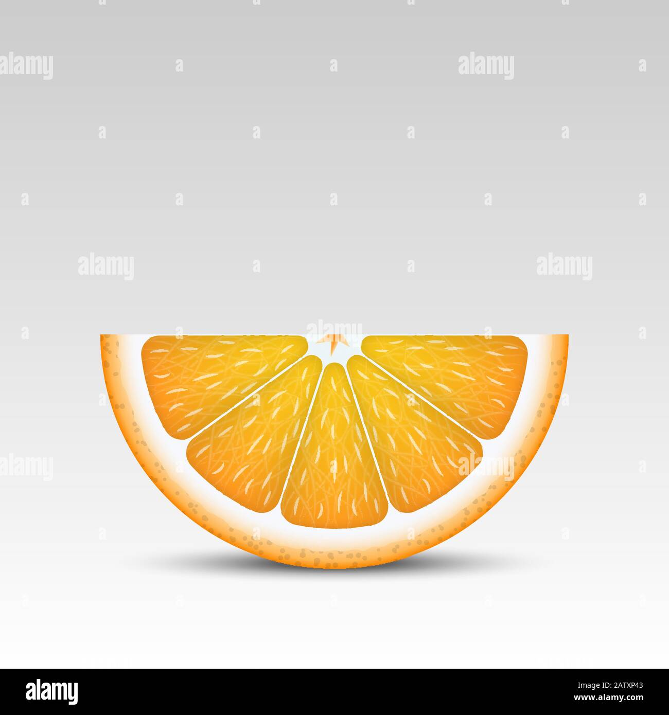 Realistic orange slice isolated on white background Stock Vector Image ...