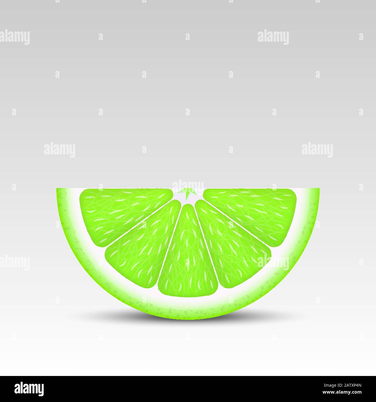 Realistic lime slice isolated on white background Stock Vector Image ...