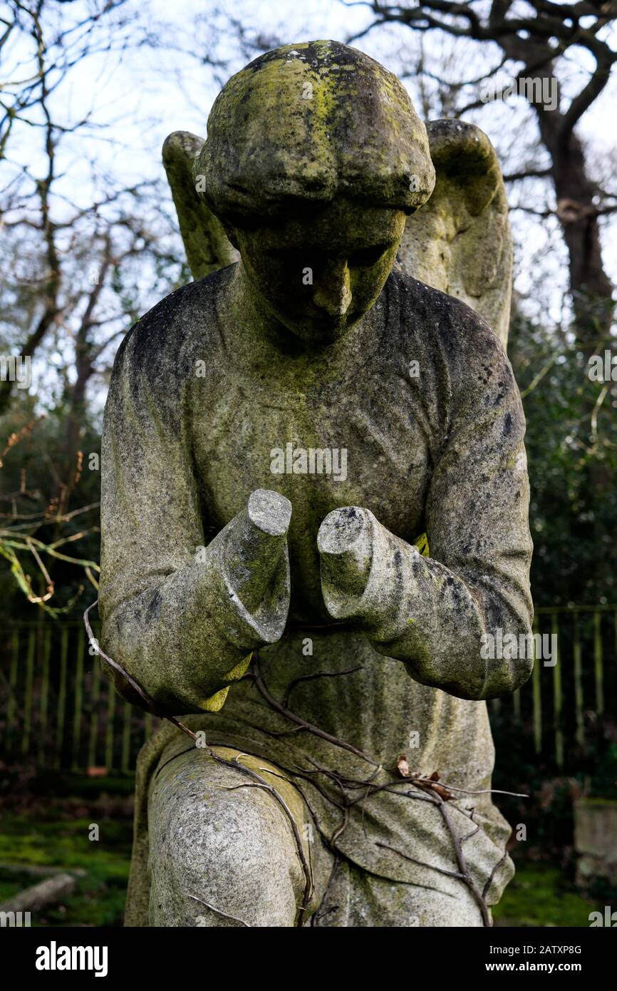 Putney Vale Cemetery Stock Photo - Alamy