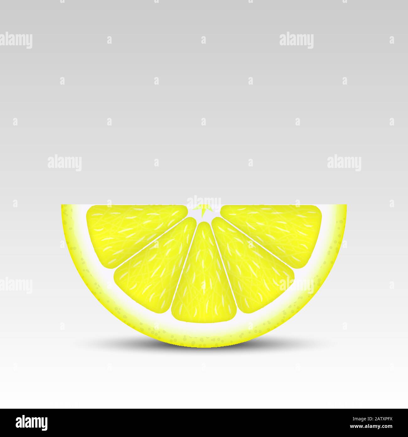 Realistic lemon slice isolated on white background Stock Vector Image ...