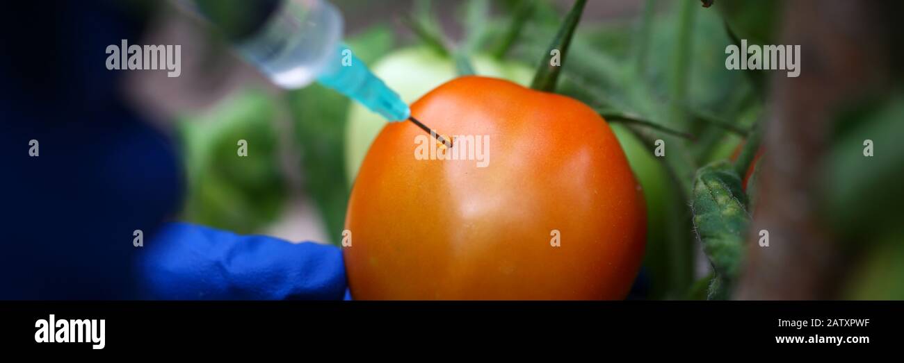 Gloved hand scientific laboratory hi-res stock photography and images ...