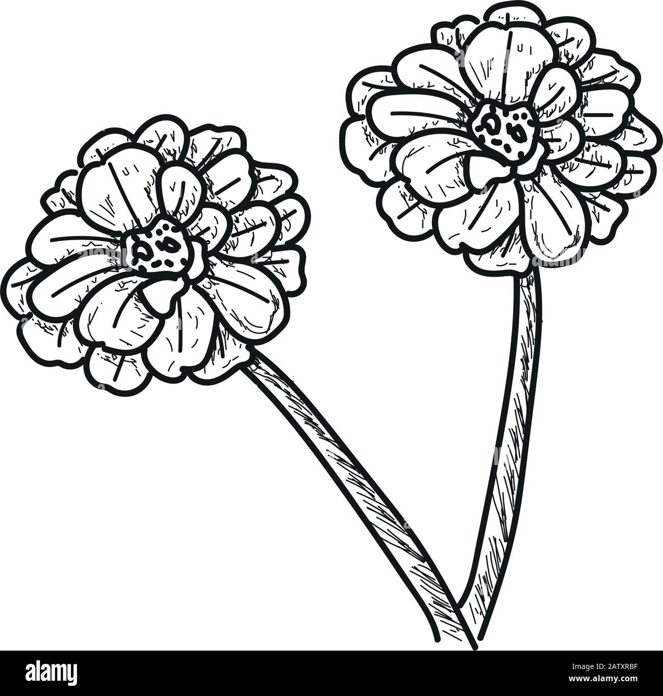 Isolated flower sketch Stock Vector Image & Art - Alamy
