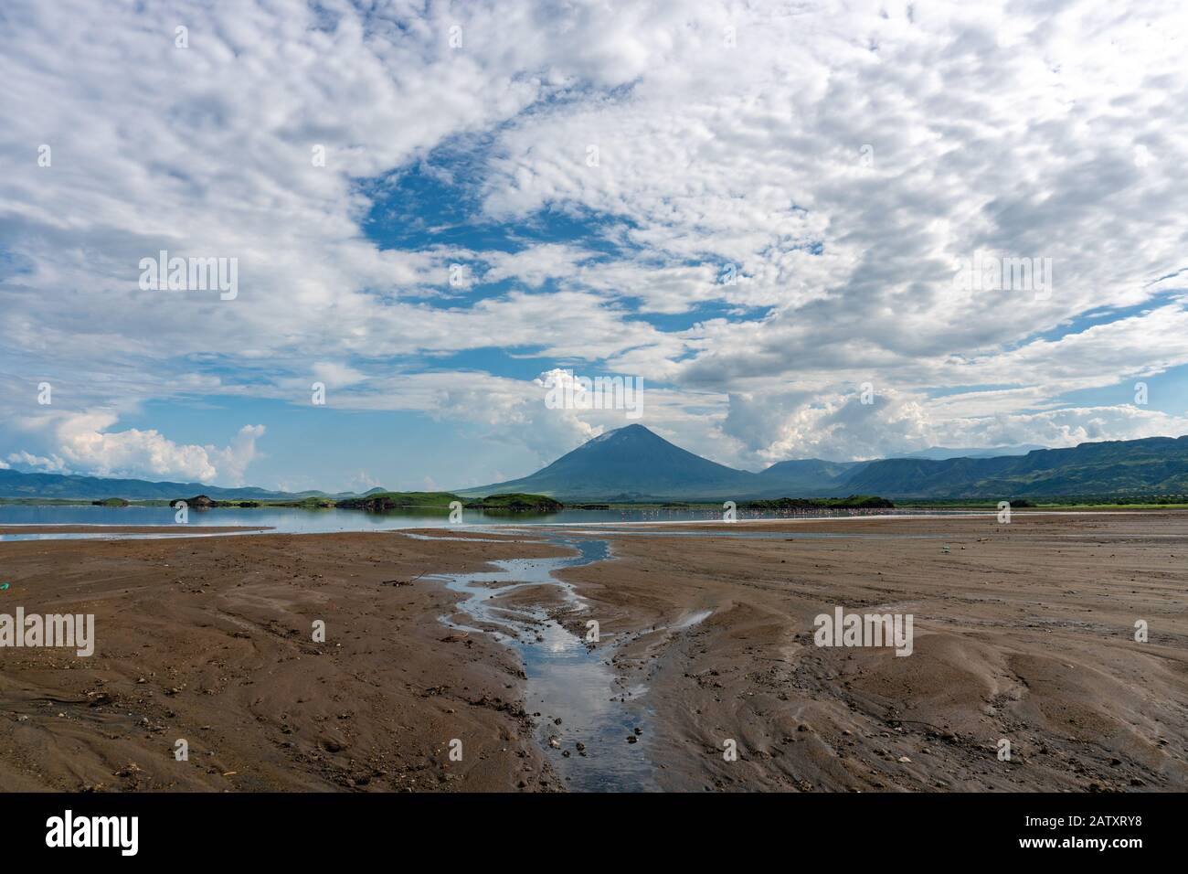 Pink lesser Flamingos at Lake Natron with Ol Doinyo Lengai volcano on ...