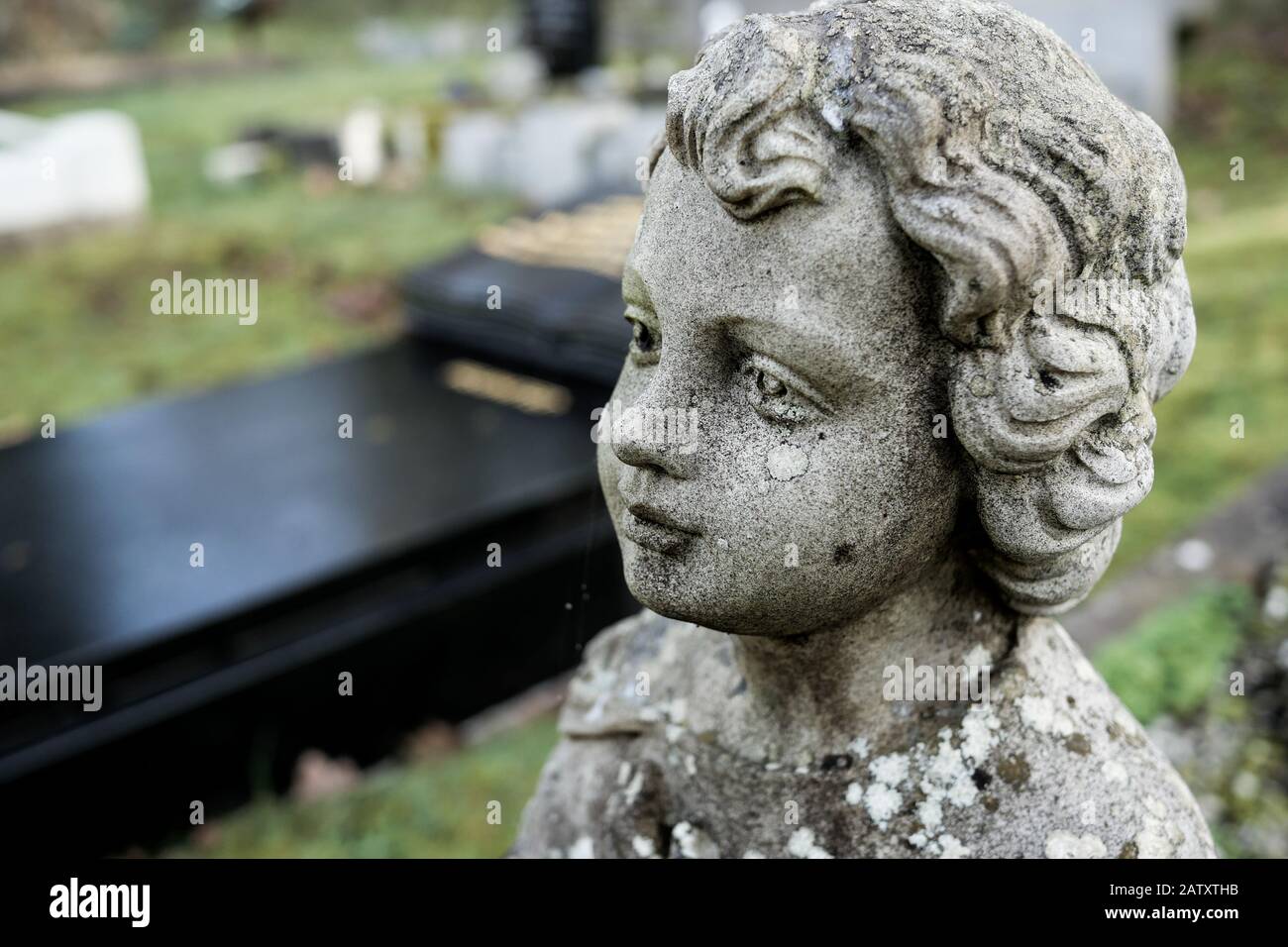 Putney Vale Cemetery Stock Photo - Alamy