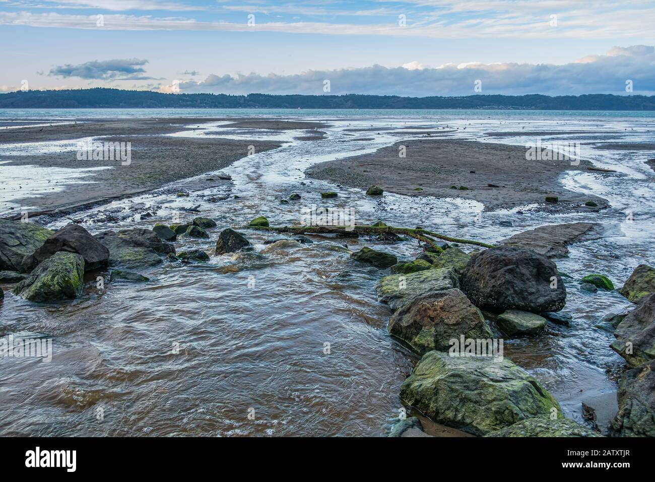 A stream flows into the Puget Sound at Dash Point State Park in ...