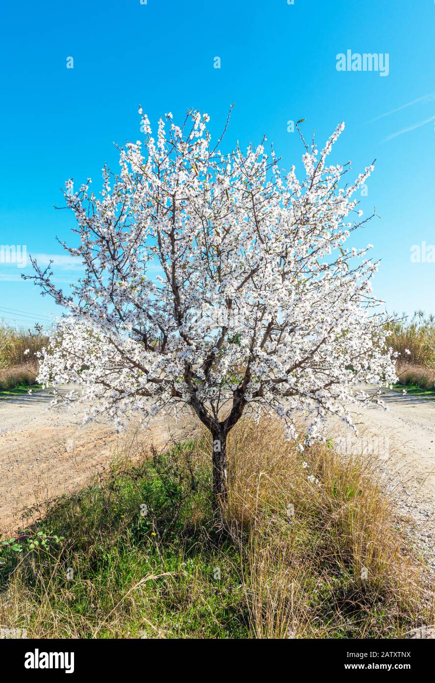 Arrival of spring hi-res stock photography and images - Alamy