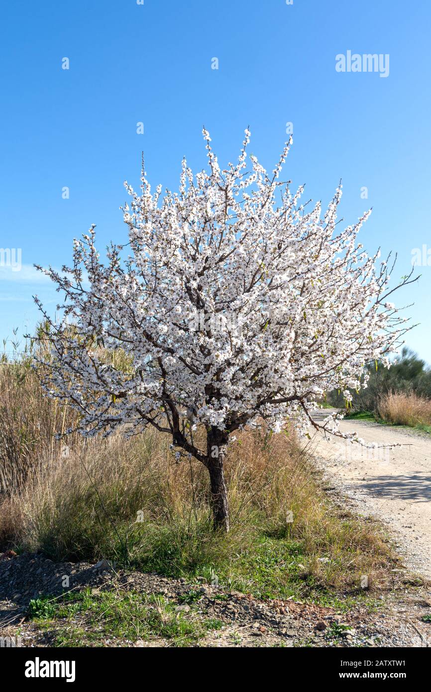 Arrival of spring hi-res stock photography and images - Alamy